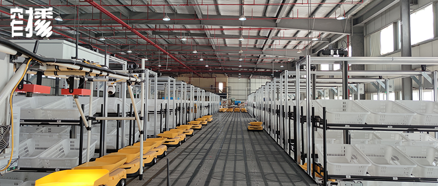 阿里如何做产业带：拆解淘特淘工厂的M2C模式 - 知乎