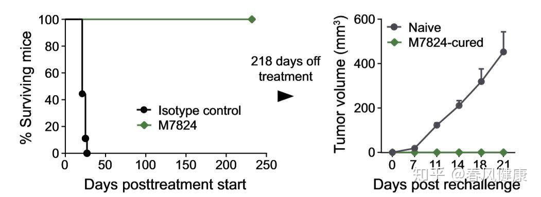 肺癌重磅新药M7824！双功能性免疫疗法，总缓解率高达71.4% - 知乎