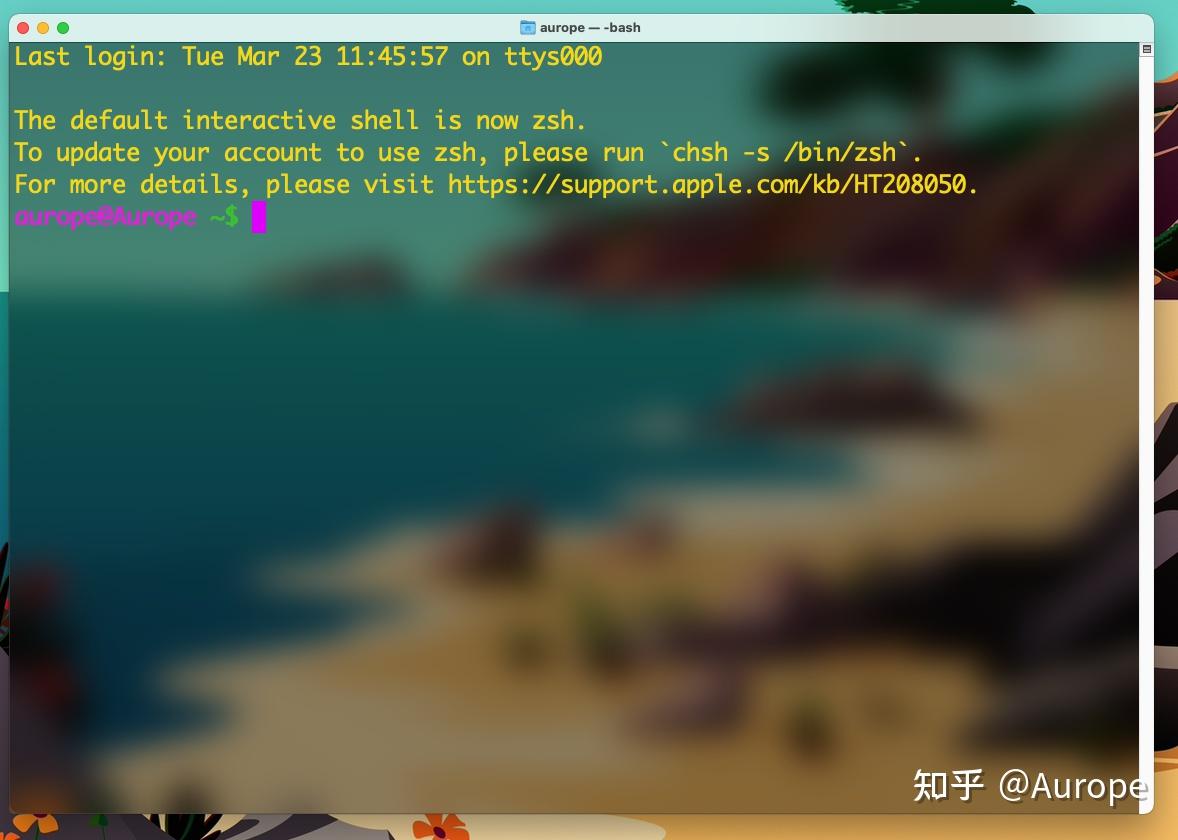 Mac 终端 & Vim编辑器配置 - 知乎