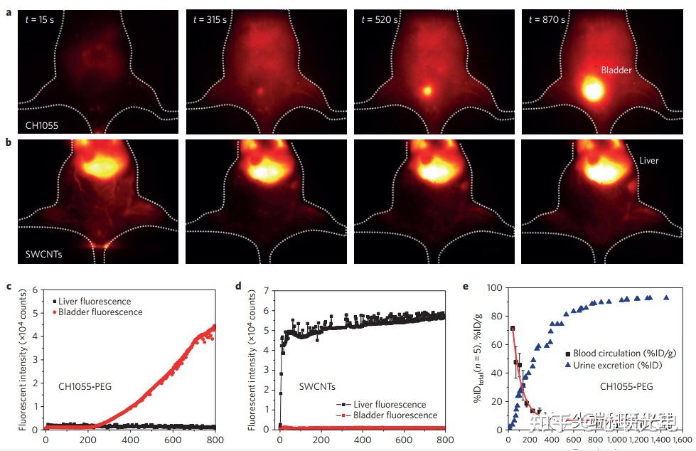 前沿热点：近红外小动物活体成像 - 知乎