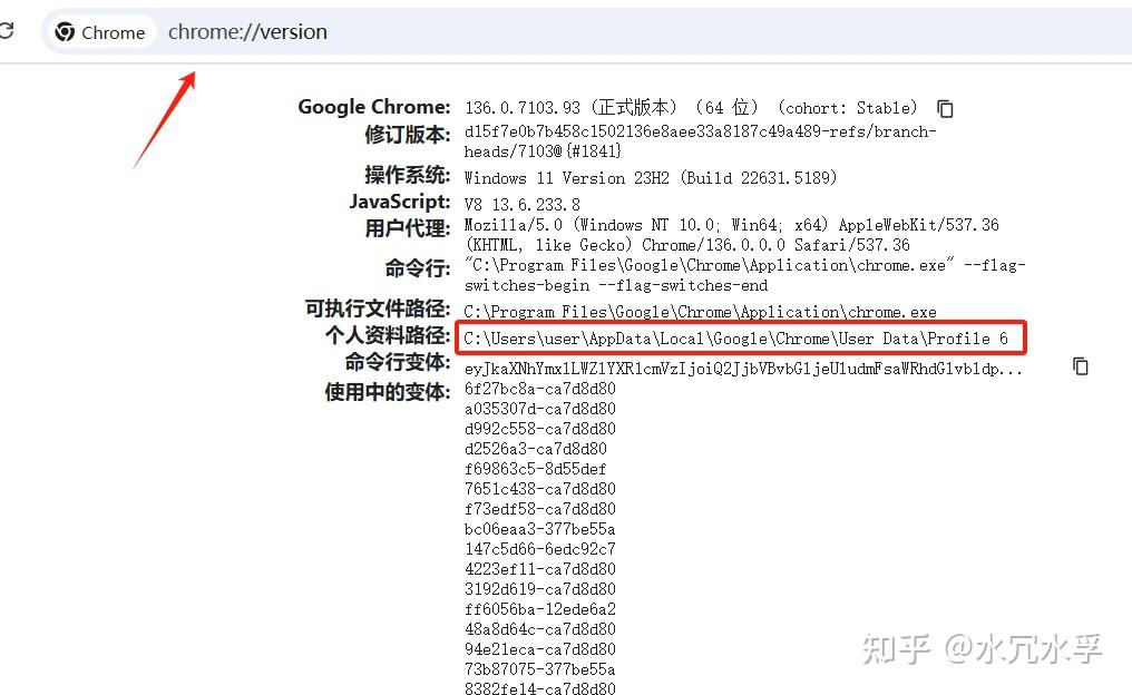 DevTools remote debugging requires a non-default data directory. Specify this using --user-data ...