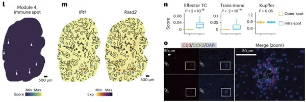 Nature Genetics | Stereo-seq助力构建小鼠肝脏稳态及再生模型的时空转录图谱 - 知乎