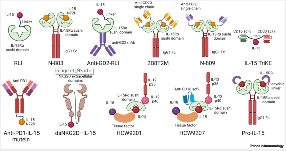 Trends Immu | 利用IL-15信号增强NK细胞介导的癌症免疫治疗 - 知乎