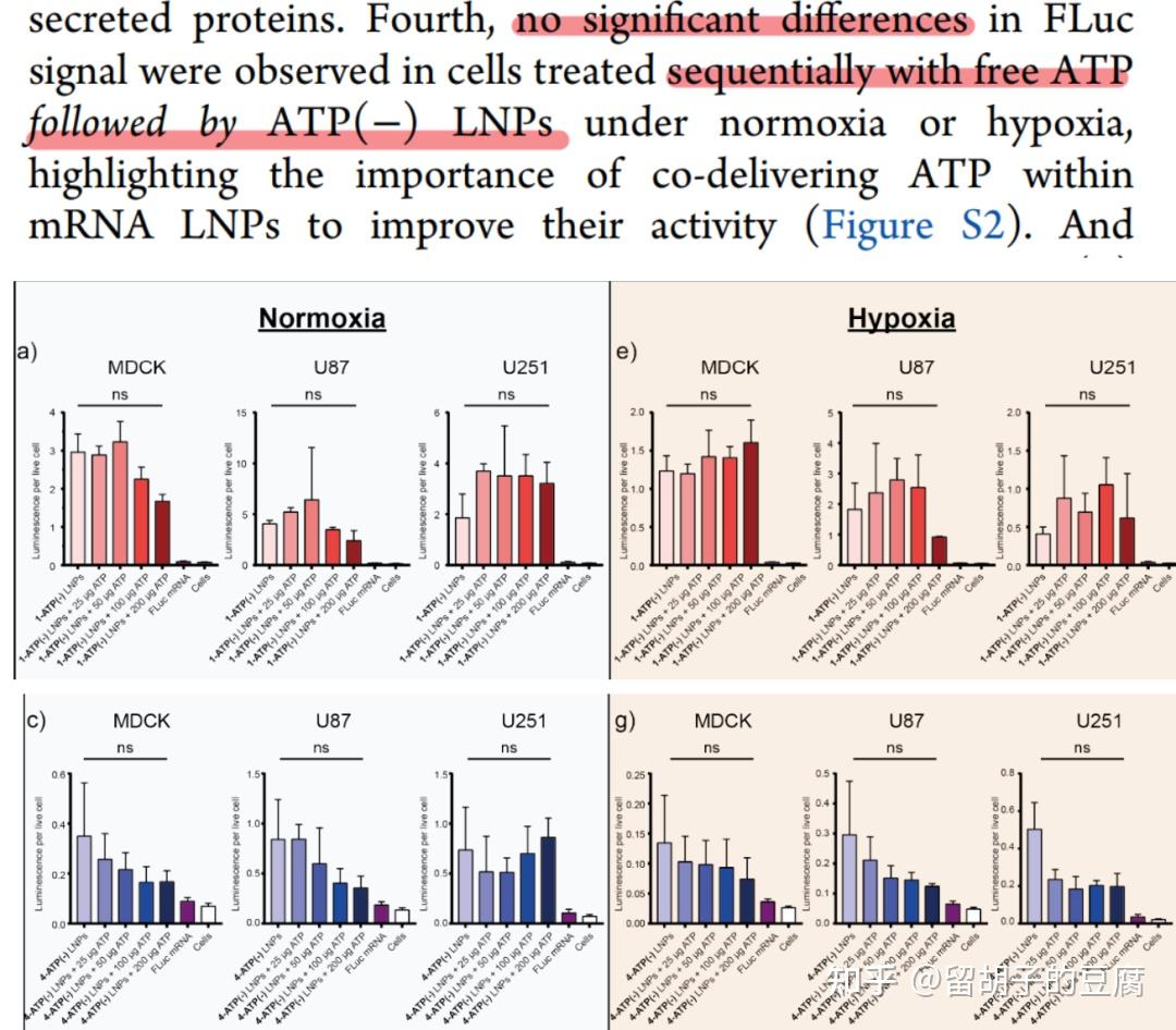 共递送ATP提升mRNA-LNP细胞内蛋白表达水平数十倍 - 知乎