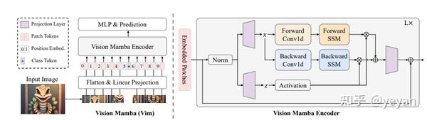 mamba模型相关应用记录 - 知乎