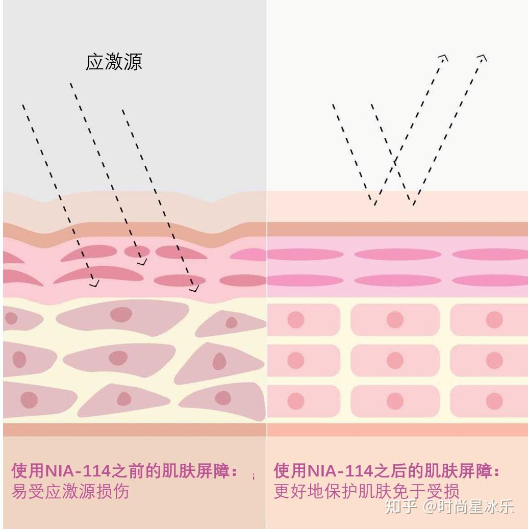 StriVectin思薇婷焕白肌光水重磅上市 - 知乎
