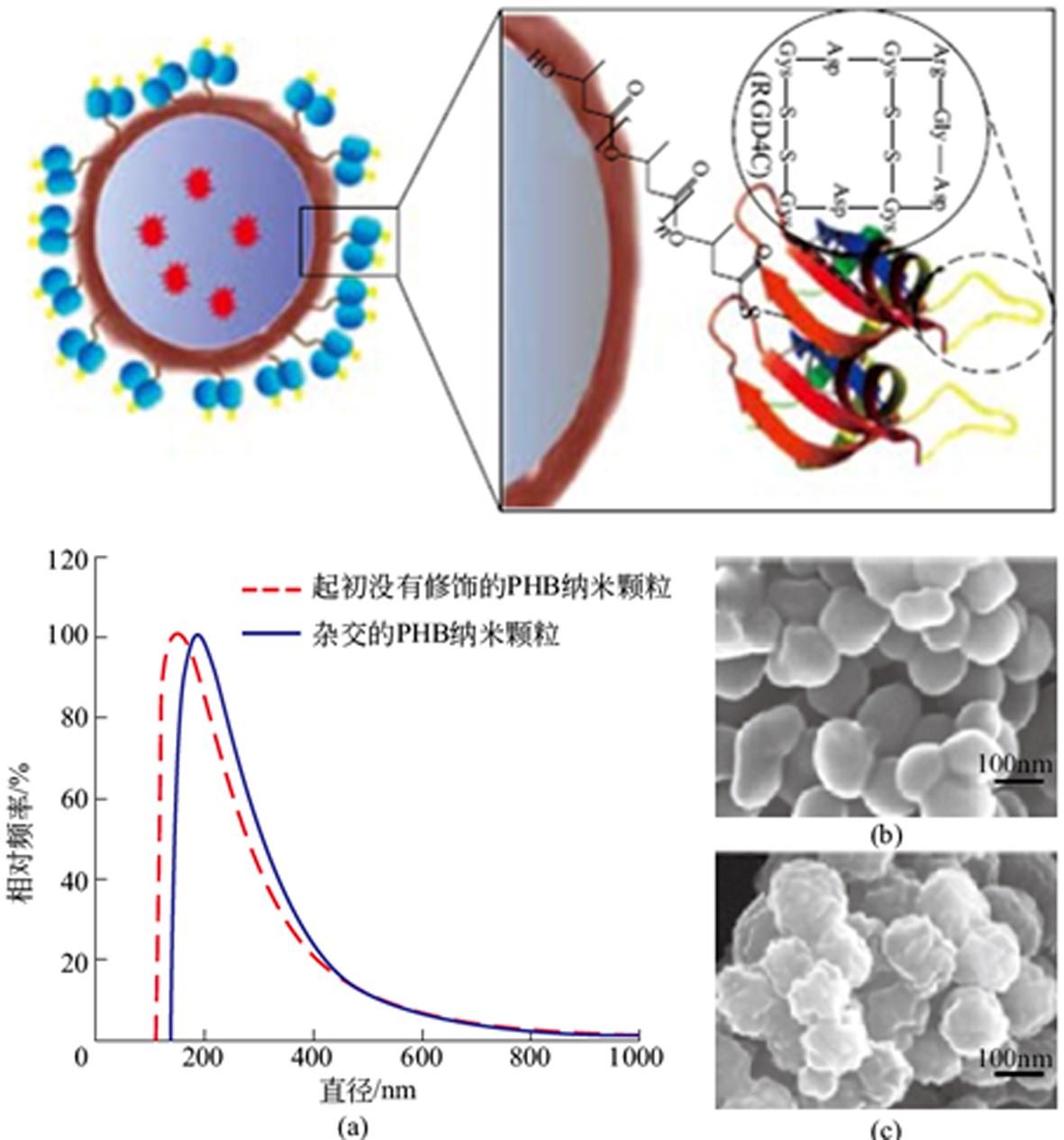 【连载】漫谈PHA(3)友谊的小船永不翻——药物与PHA的牵手 - 知乎