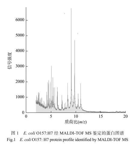 鉴“微”知“株”丨MALDI-TOF MS，几分钟完成菌种“身份识别” - 知乎