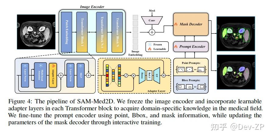 模型方法-为医学图像分割定制的高效模型SAM-Med2D - 知乎
