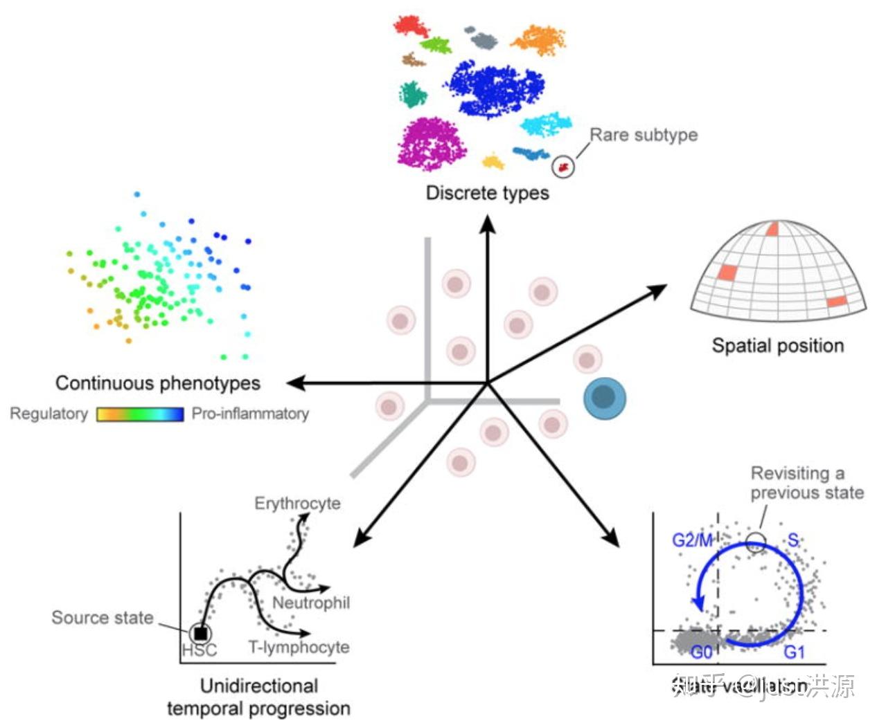 scRNA-seq入门 —— 第一章 简单介绍 - 知乎
