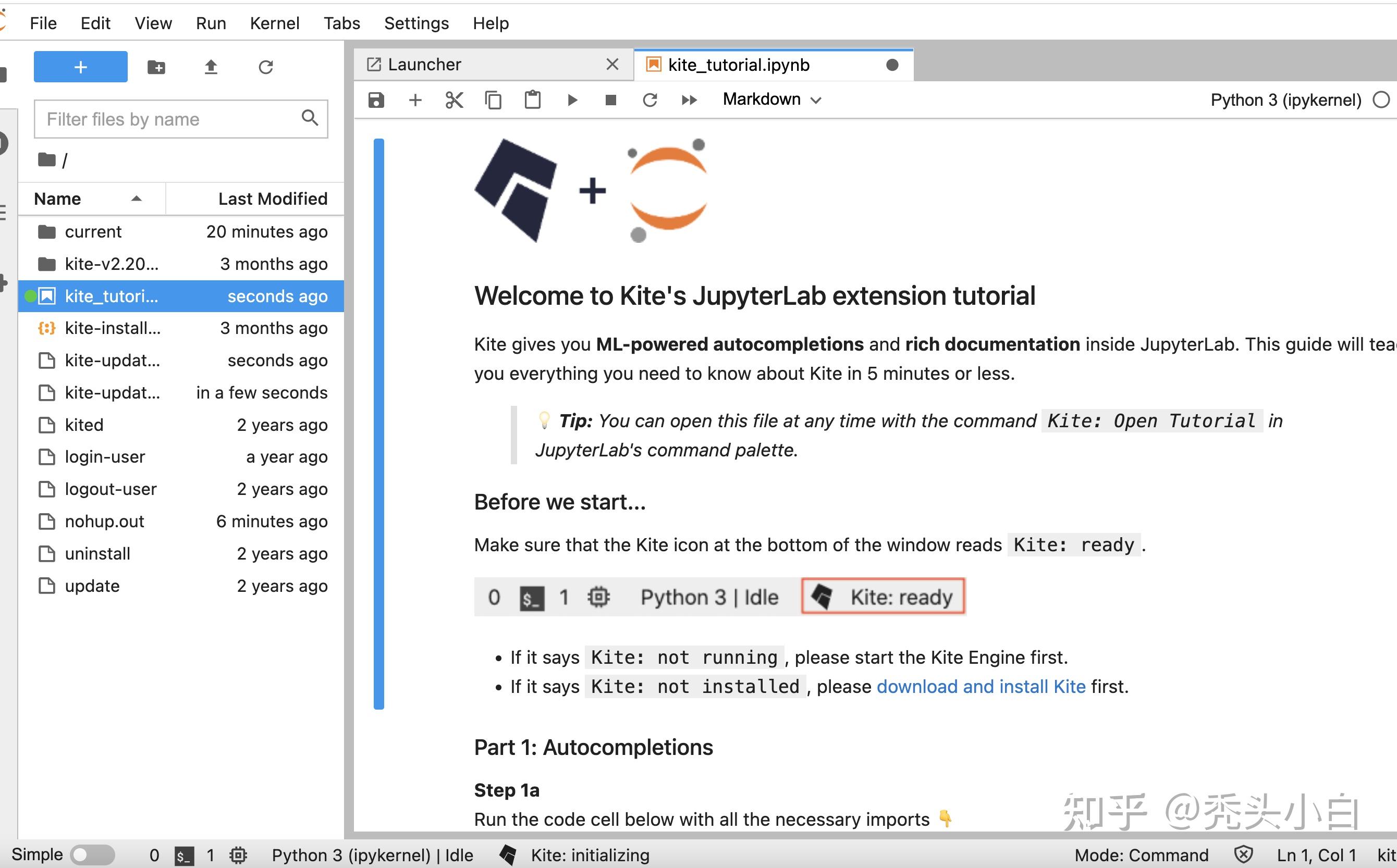 Jupyterlab安装kite（代码自动补全神器） 知乎