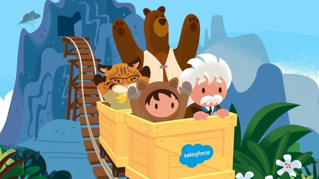 必看，Salesforce常见的业内术语！ - 知乎