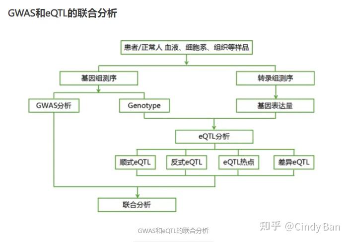 关于QTL和GWAS的一些知识点整理 - 知乎