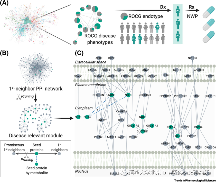 【读书～4】Trends Pharmacol Sci｜网络药理学：从治标到治本 - 知乎