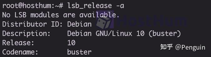 查看 Debian 系统版本的 6 种方式 - 知乎