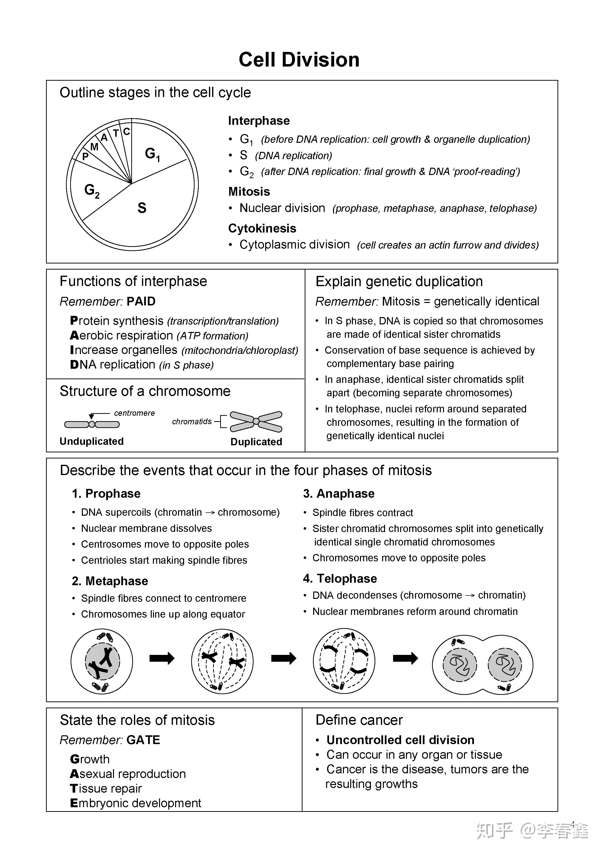 DP Biology Quick Note for Revision (DP生物快速复习手册) - 知乎