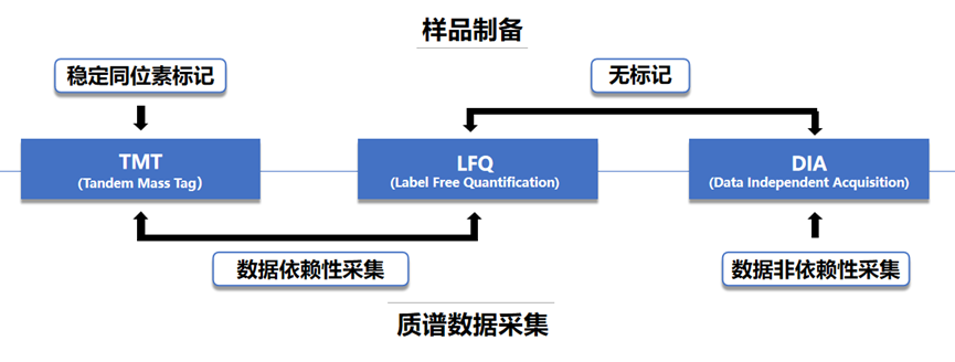全网最详细 | TMT、LFQ和DIA傻傻分不清？一文读懂三者区别和应用 - 知乎