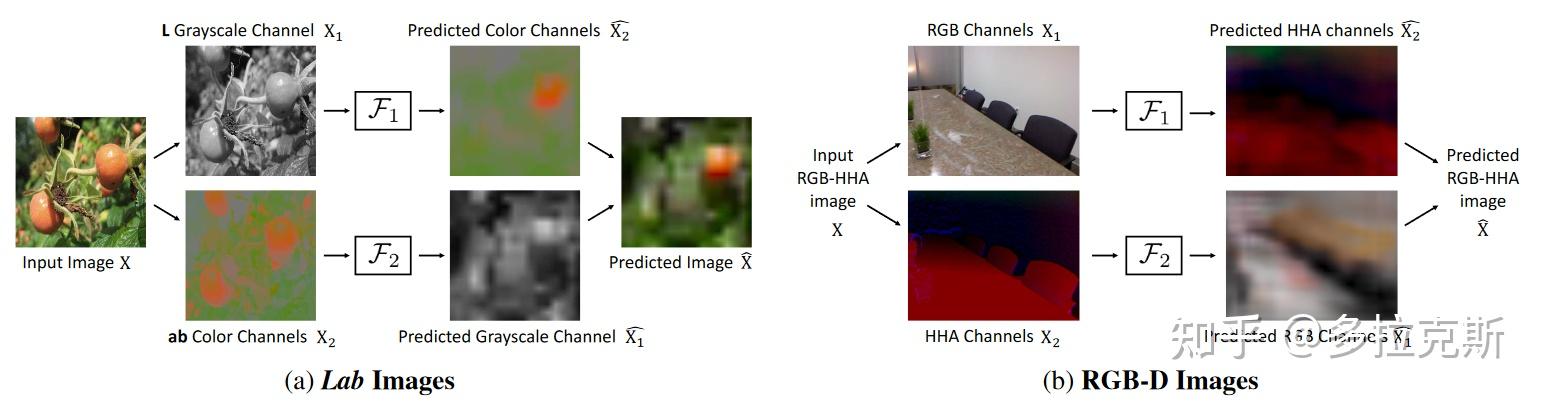 30篇经典论文学习 Self-Supervised Learning - 知乎