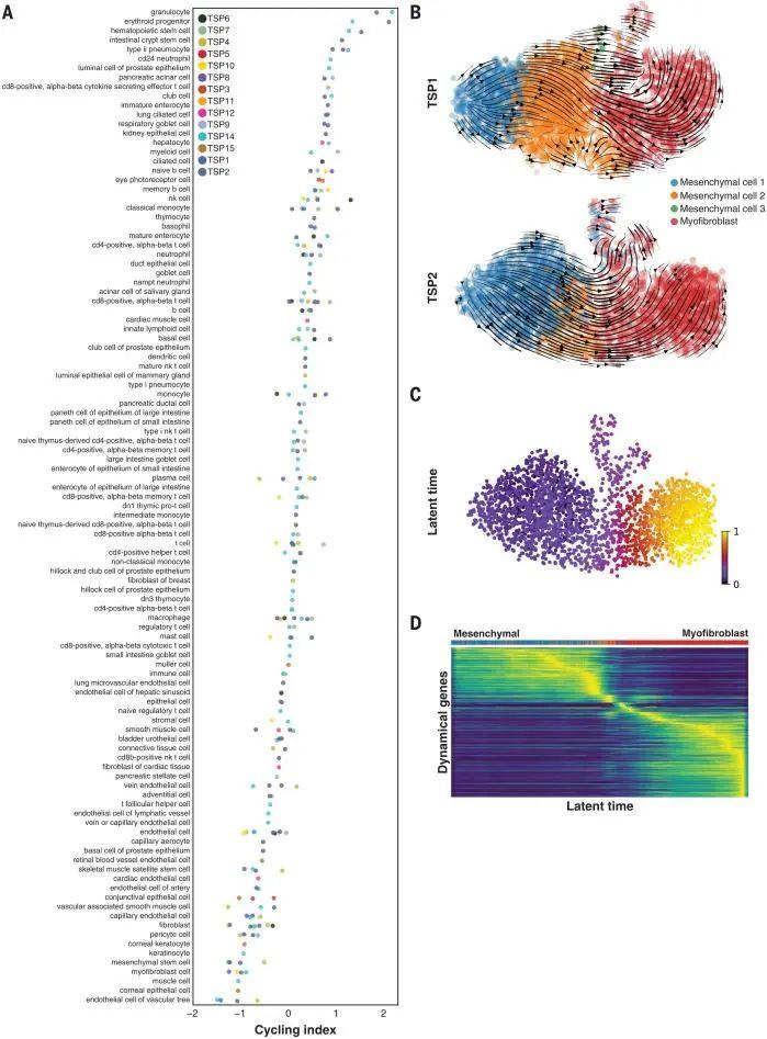 Science | The Tabula Sapiens：人类的多器官、单细胞转录组图谱 - 知乎