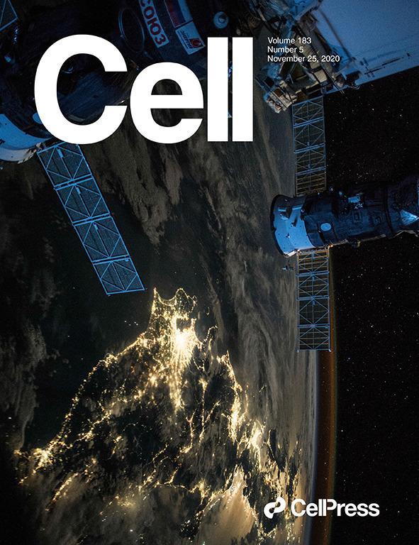 科学与艺术的结合！《CELL》100+张期刊封面鉴赏｜2020年篇 - 知乎