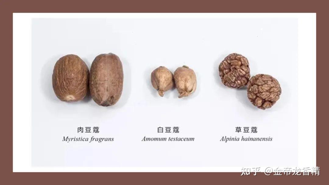 香精与香料(152)—豆蔻 - 知乎