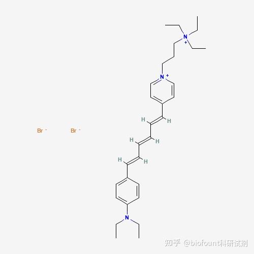 FM 4-64；C2神经元荧光探针 - 知乎