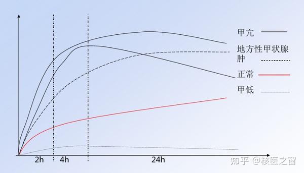 甲状腺摄131I试验的原理与临床应用 - 知乎