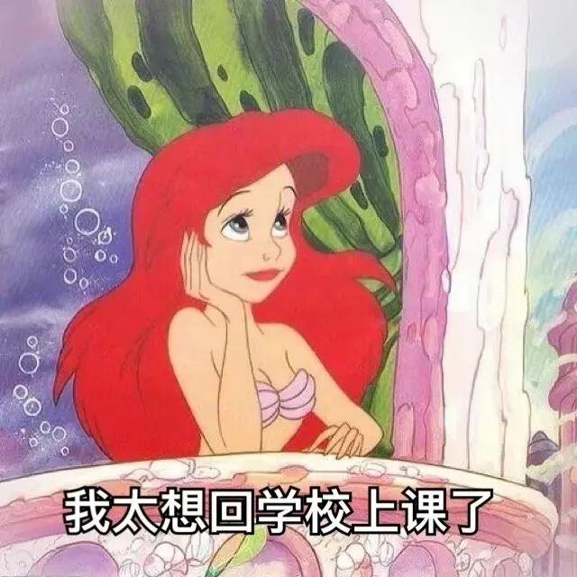 爱学习的表情包 - 知乎