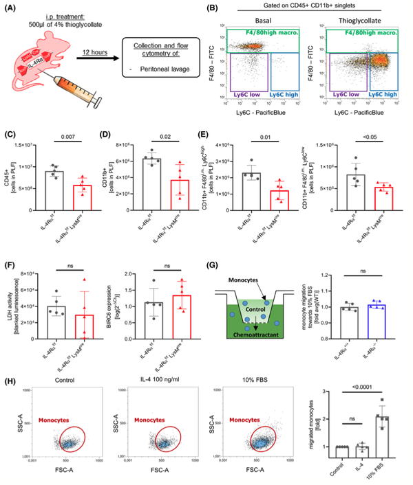 FASEB丨探索IL-4α在单核细胞中的作用 - 知乎