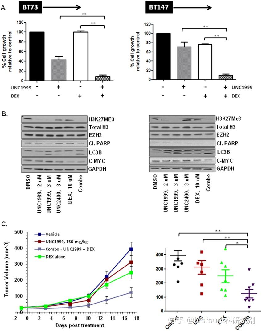 UNC1999；SAM-竞争性的 EZH2 和 EZH1 抑制剂 - 知乎