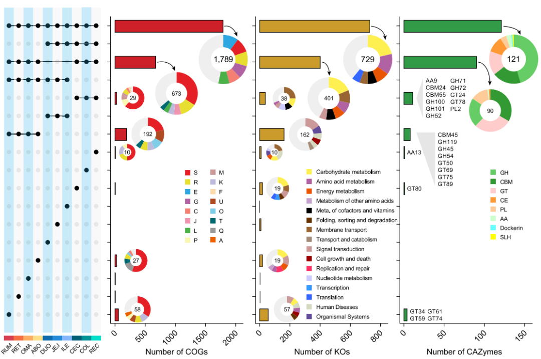基于宏基因组的功能挖掘：碳水化合物活性酶（CAZymes）注释 - 知乎