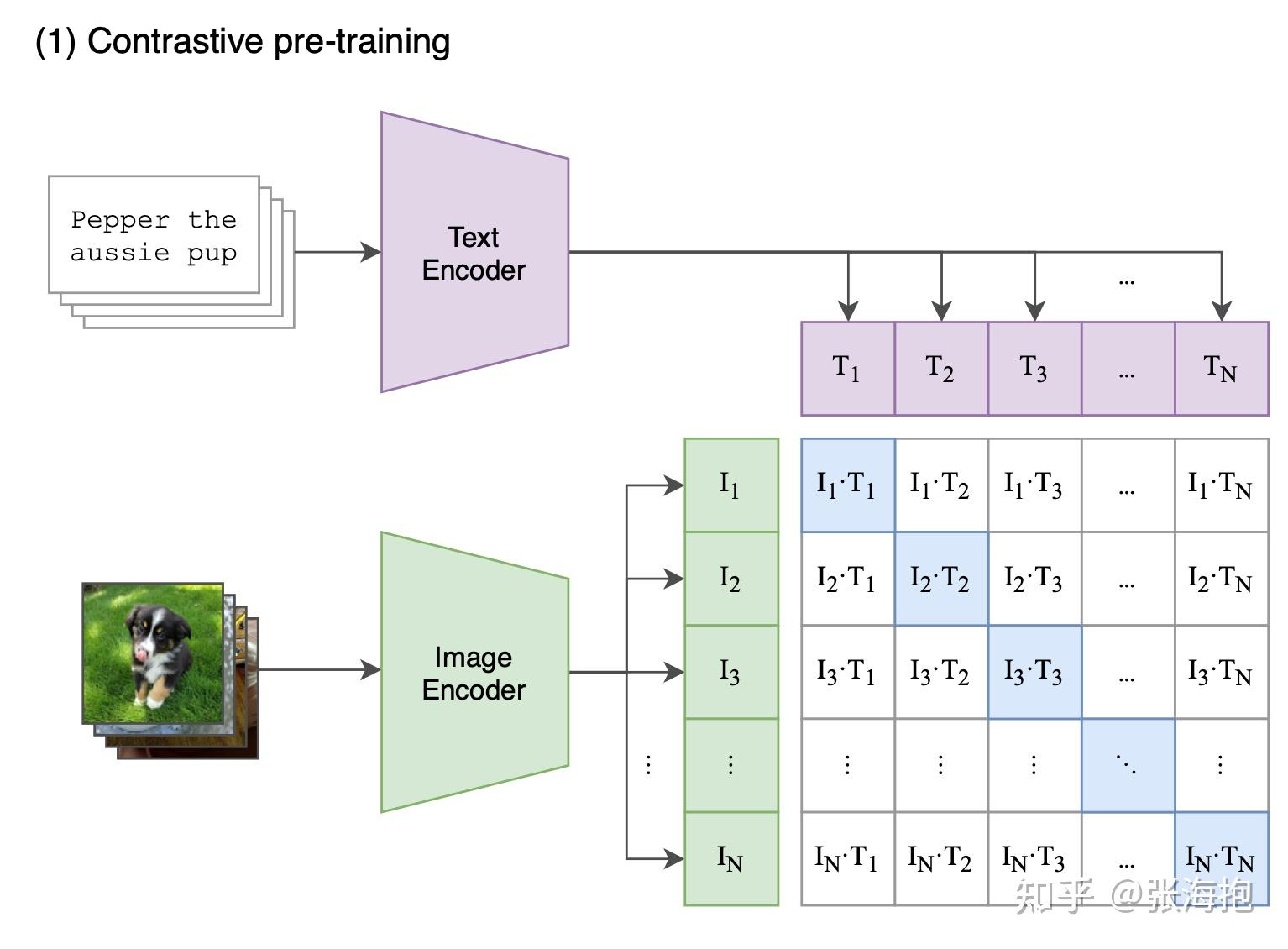 【大模型 298】OpenAI CLIP - 知乎