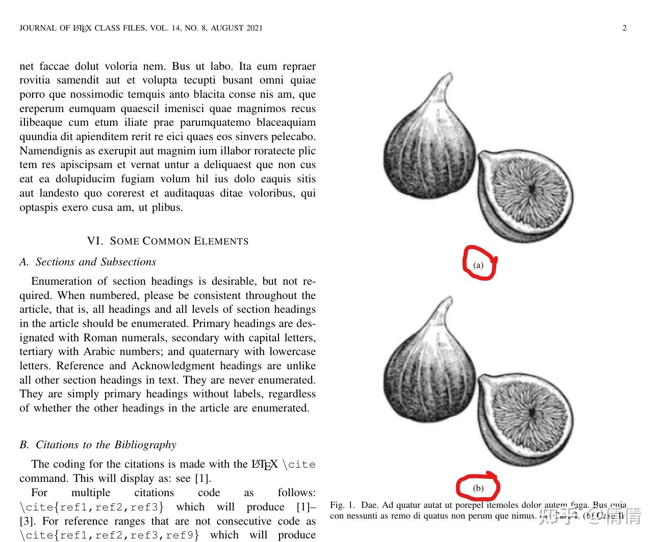 IEEE trans LATEX模板 多个子图问题 - 知乎