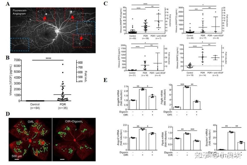 J Cli Inv | 16分杂志的封面文章怎么发？这篇文章可能会给你一些思路 - 知乎