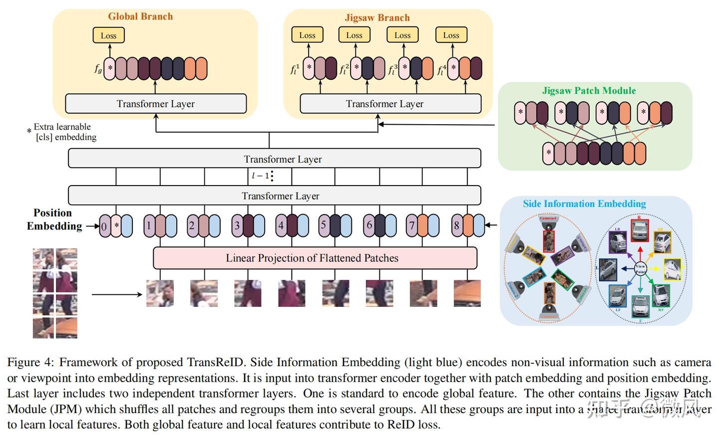 【论文笔记】TransReID: Transformer-based Object Re-Identifification - 知乎