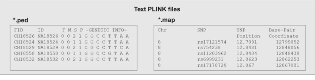 统计遗传学：第七章，基因型数据格式介绍 - 知乎