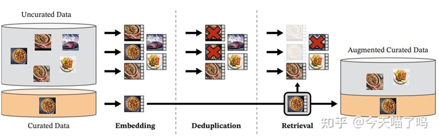 视觉基础模型：DINOv2 after SAM - 知乎