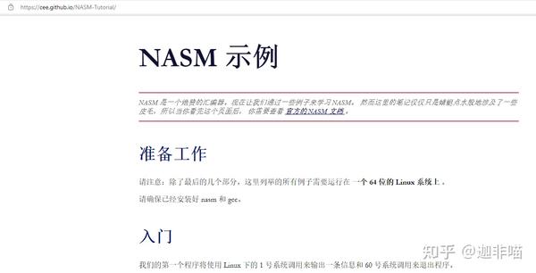 NASM Tutorial - 知乎