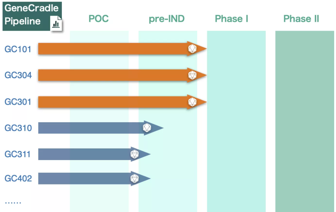 国内AAV基因治疗竞争格局 - 知乎