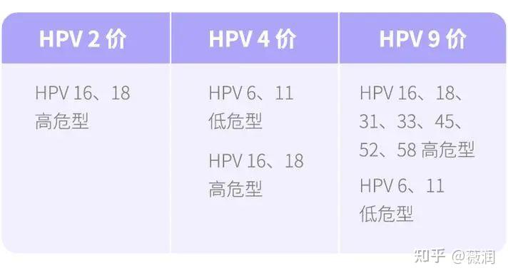 国际HPV知晓日 | 接种HPV疫苗并非一劳永逸，酸酐化牛β-乳球蛋白阻断高危型HPV持续感染，预防宫颈病变 - 知乎