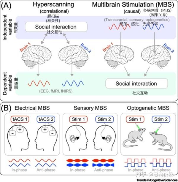 【前沿】超经颅交流电刺激（hyper-tACS）：多主体同步刺激技术 - 知乎