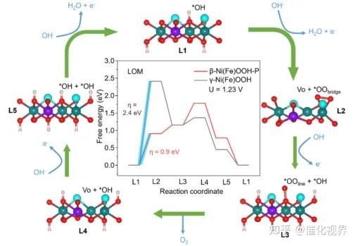 JACS：相工程调控O-O偶联机制提升OER！ - 知乎