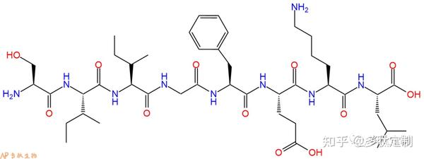 八肽SIIGFEKL|148274-82-2|用于刺激卵白蛋白特异性T细胞 - 知乎