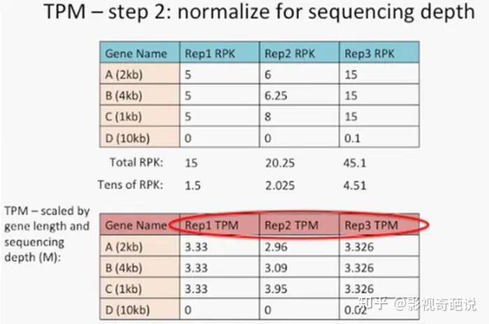 RPKM、FPKM 和 TPM，解释清楚 - 知乎