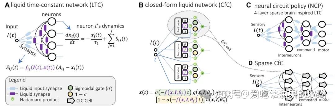 细说液体神经网络：新型模型结构的崛起 - 知乎
