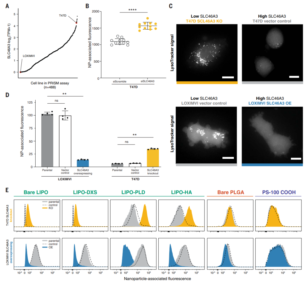 Science | 纳米药物递送通道的高通量筛选 - 知乎