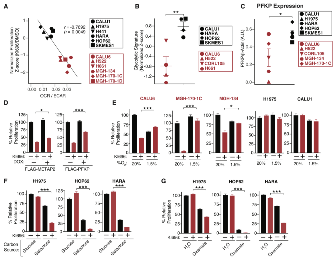 Cell Metabolism丨NRF2 激活诱导 NADH 还原应激，为肺癌提供代谢脆弱性 - 知乎