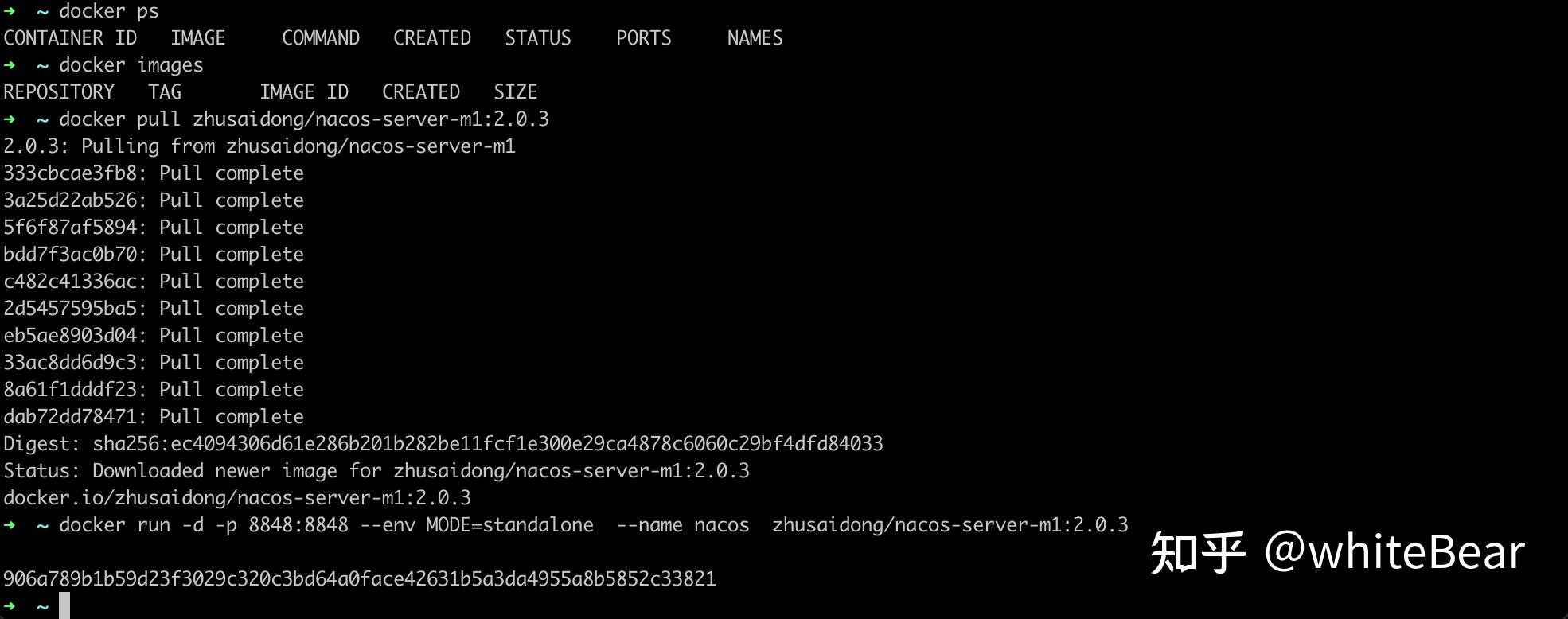 Mac用docker安装nacos - 知乎