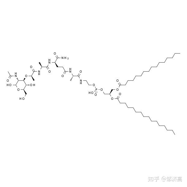 已上市脂质体介绍之八：米伐木肽脂质体 商品名：Mepact - 知乎