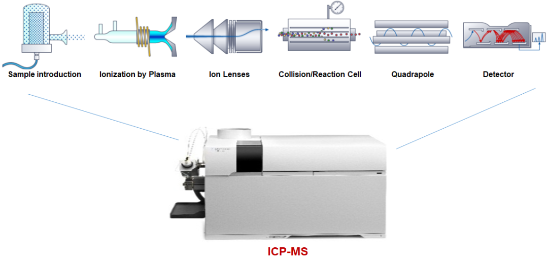 感应耦合等离⼦体质谱(ICP-MS)在生物分析中的应用 - 知乎